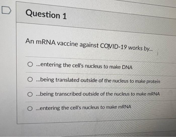 Solved An mRNA vaccine against CONID-19 works by... | Chegg.com