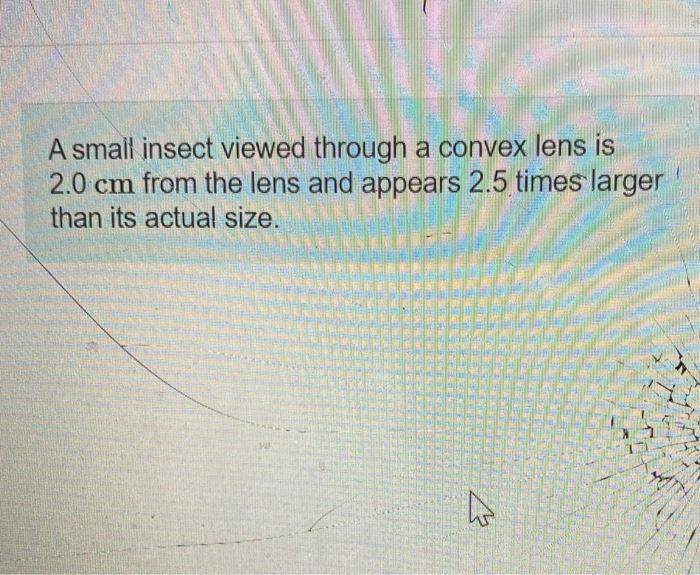 Solved A small insect viewed through a convex lens is 2.0 cm | Chegg.com