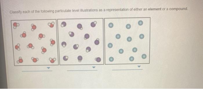 Solved Classify each of the following particulate level | Chegg.com