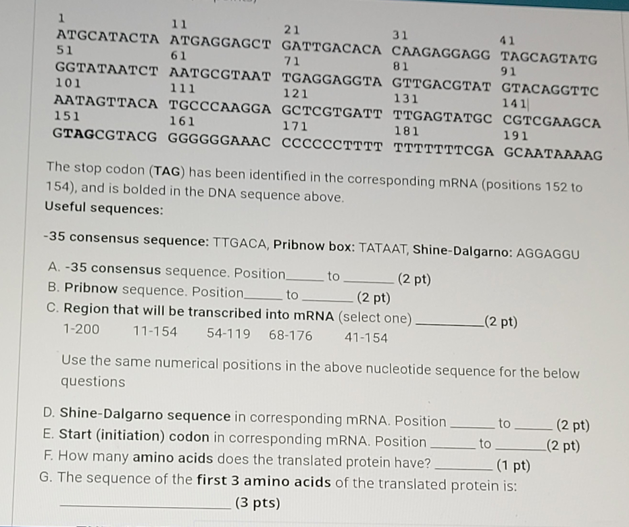 Solved The stop codon (TAG) ﻿has been identified in the | Chegg.com
