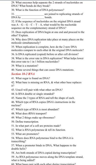 Solved DNA \& Protein Synthesis Section 10-I DNA 1. What | Chegg.com