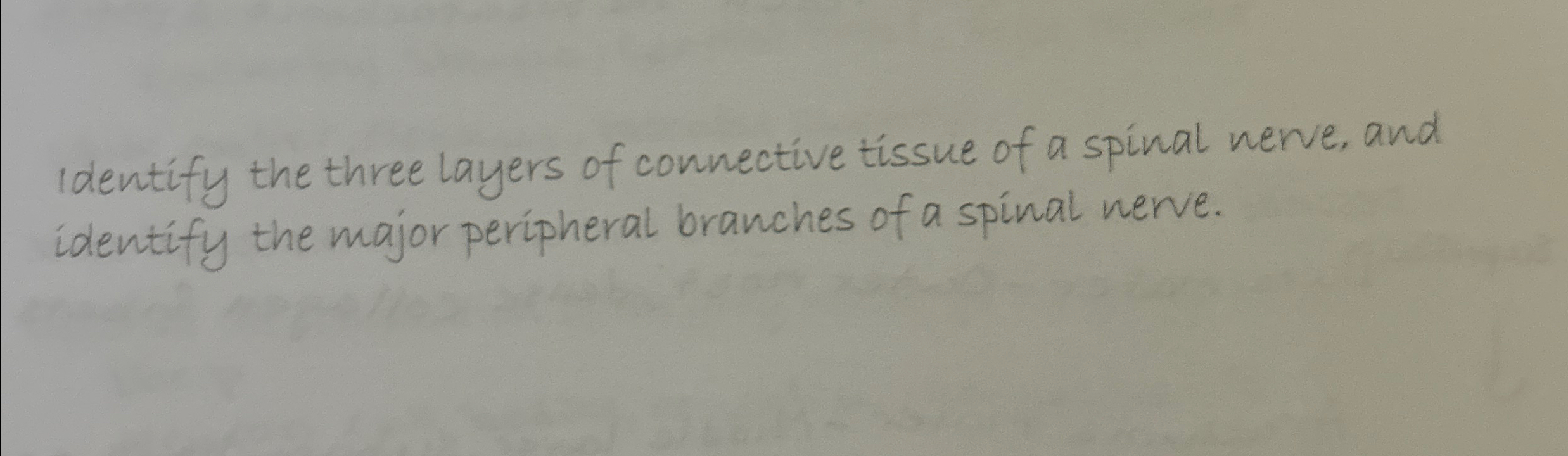 Solved identify the three layers of connective tissue of a | Chegg.com