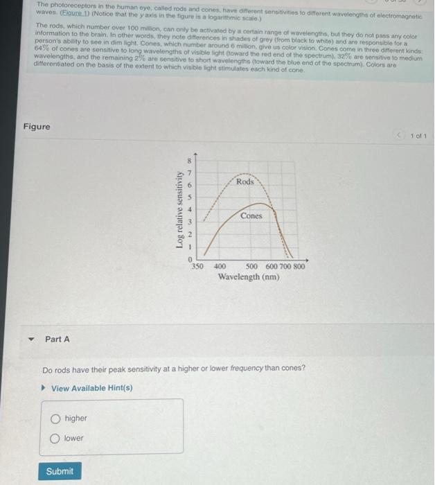 Solved The photoreceptors in the human eye, calied rods and | Chegg.com