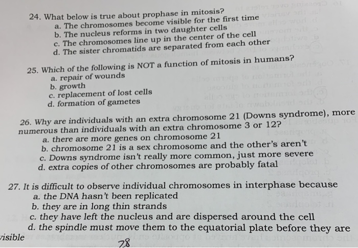 Solved 24. What below is true about prophase in mitosis? a. | Chegg.com