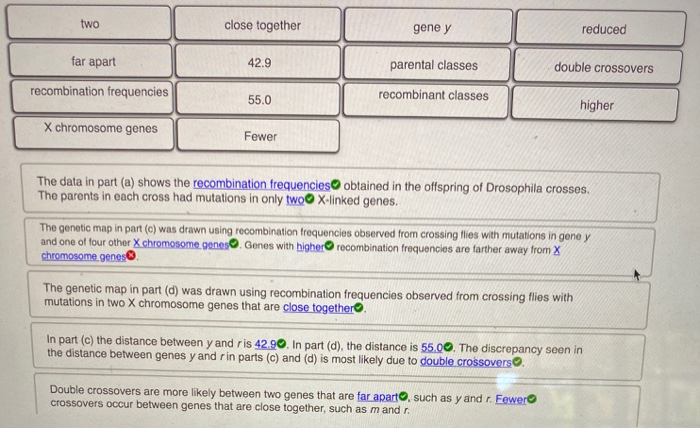Solved Review Mapping Genes with Two-Point Crosses 1.1 The | Chegg.com