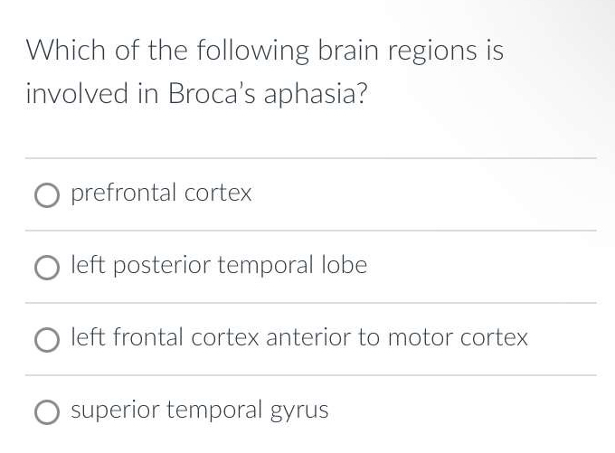 Solved Which of the following brain regions is involved in | Chegg.com