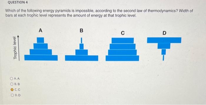 Solved Which of the following energy pyramids is impossible, | Chegg.com