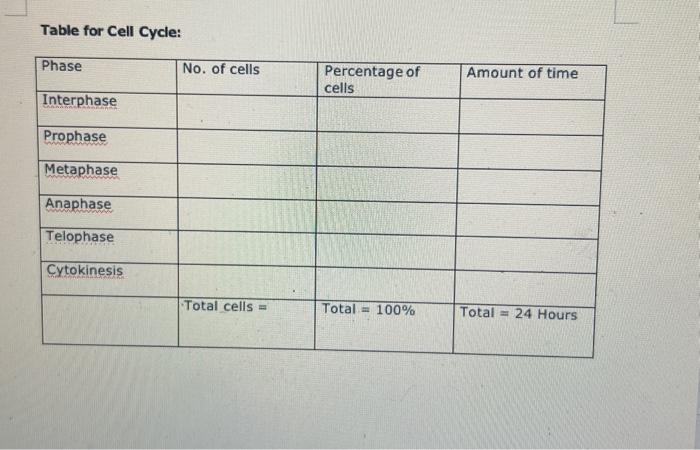 Solved THE DURATION OF THE PHASES OF THE CELL CYCLE | Chegg.com