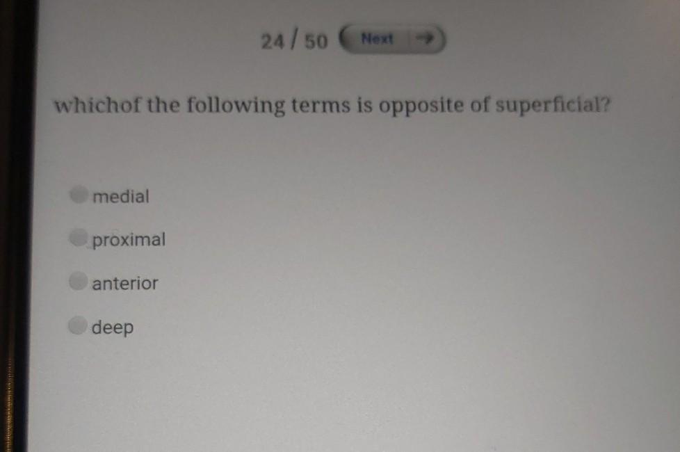 Solved 24/50 Next whichof the following terms is opposite of | Chegg.com