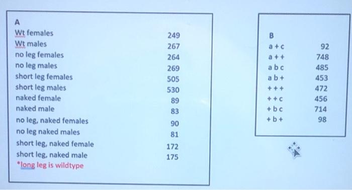 Data set A summarizes F2 numbers from an F, cross | Chegg.com