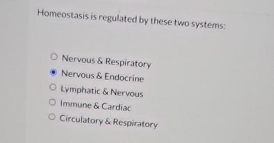 Solved Homeostasis is regulated by these two systems:Nervous | Chegg.com