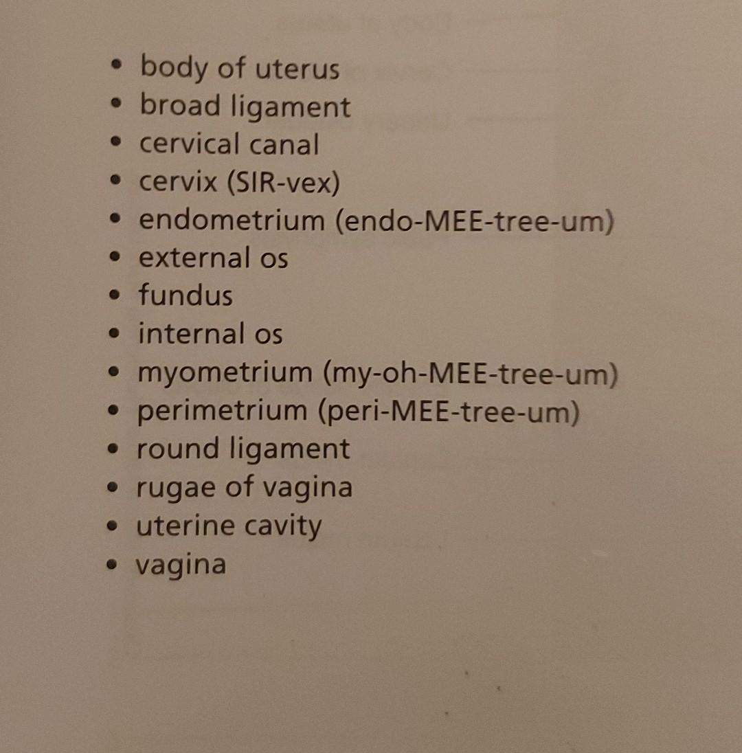 Solved EXERCISE 39 FEMALE REPRODUCTIVE SYSTEM STRUCTURE AND | Chegg.com