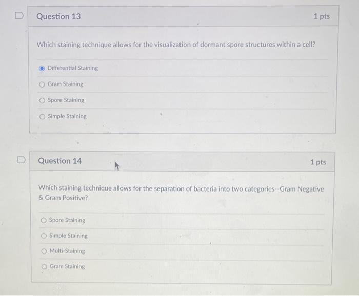 Solved Which staining technique allows for the visualization | Chegg.com