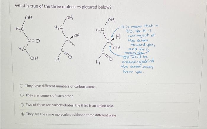 Solved What is true of the three molecules pictured below? | Chegg.com