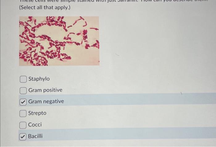 Solved (Select all that apply.) Staphylo Gram positive Gram | Chegg.com