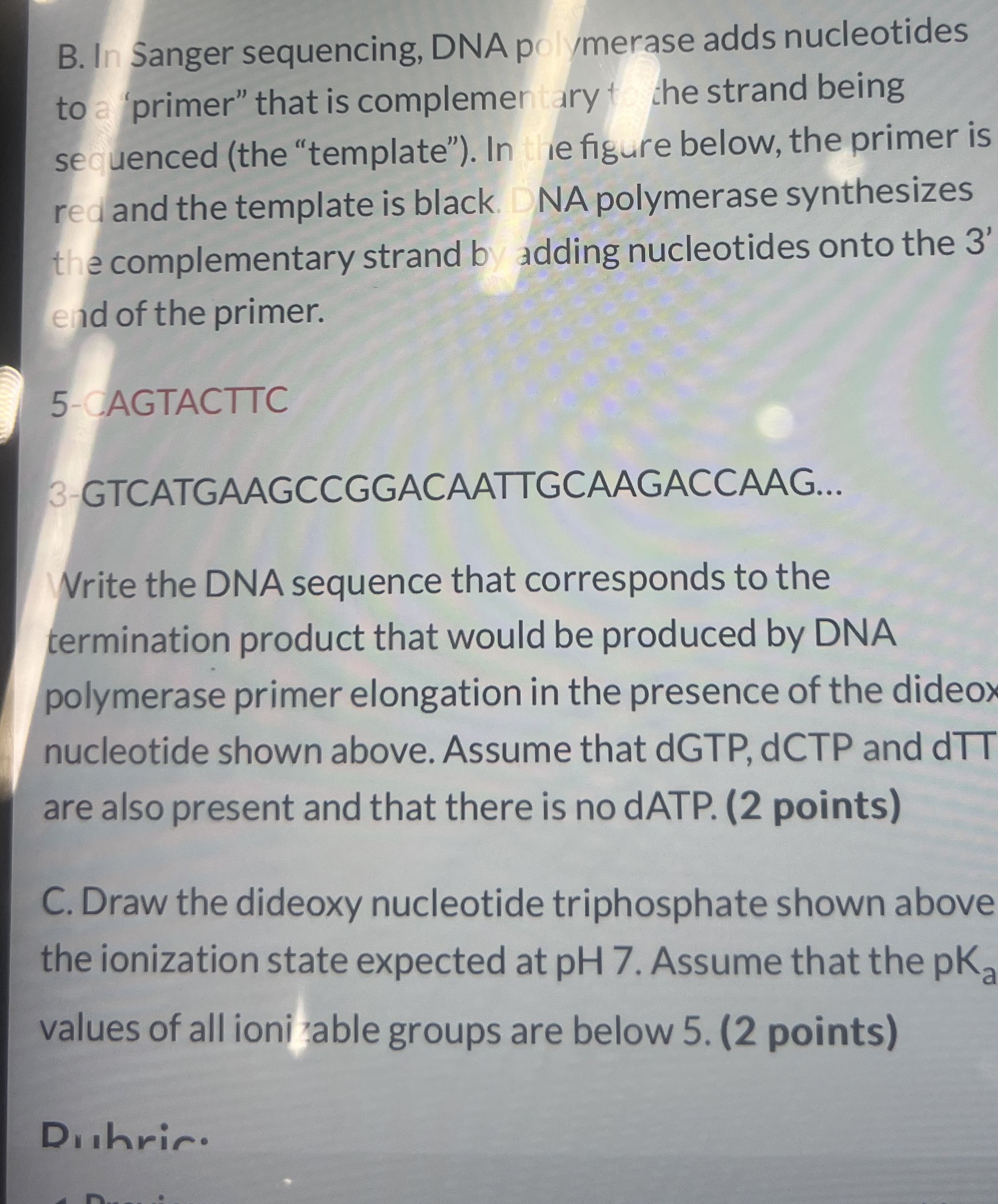 Solved B. ﻿In Sanger sequencing, DNA pol merase adds | Chegg.com