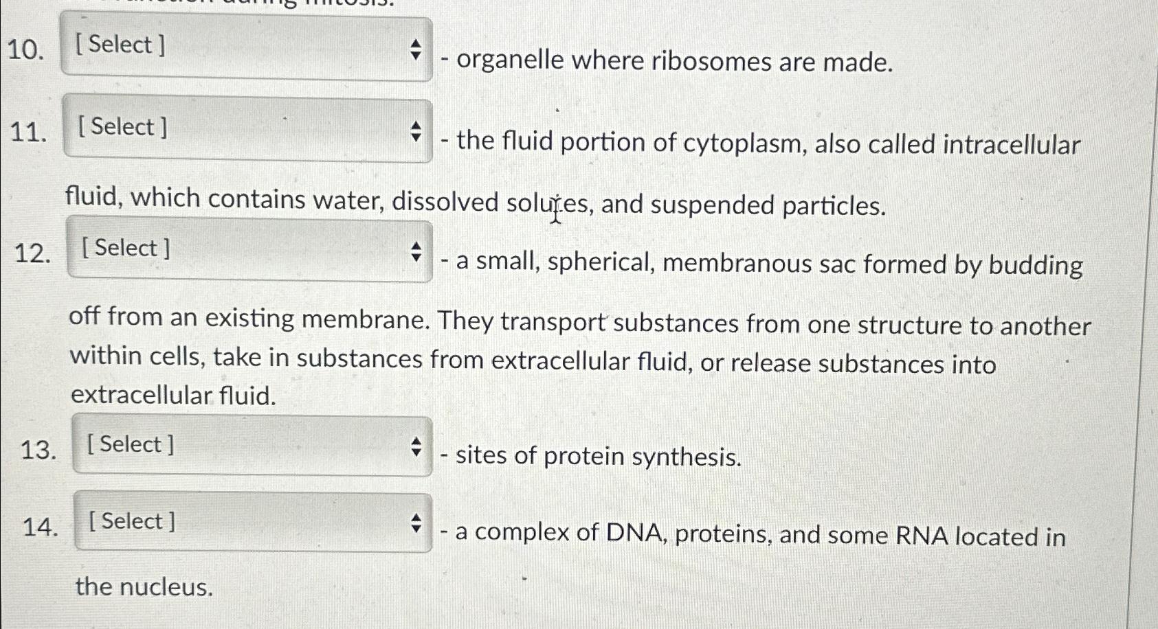 Solved organelle where ribosomes are made.the fluid portion | Chegg.com