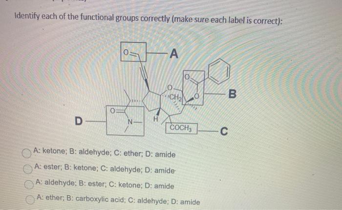 Solved Identify each of the functional groups correctly | Chegg.com