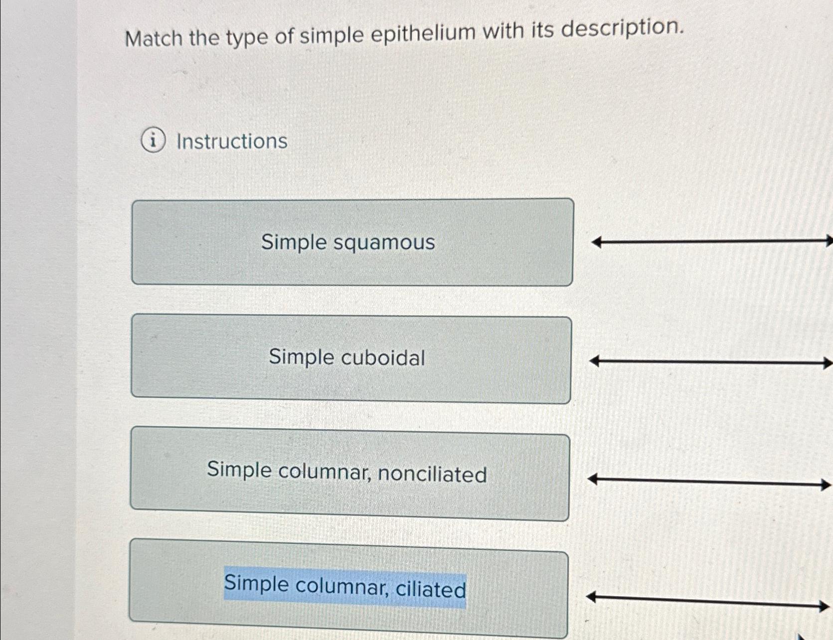 Solved Match the type of simple epithelium with its | Chegg.com