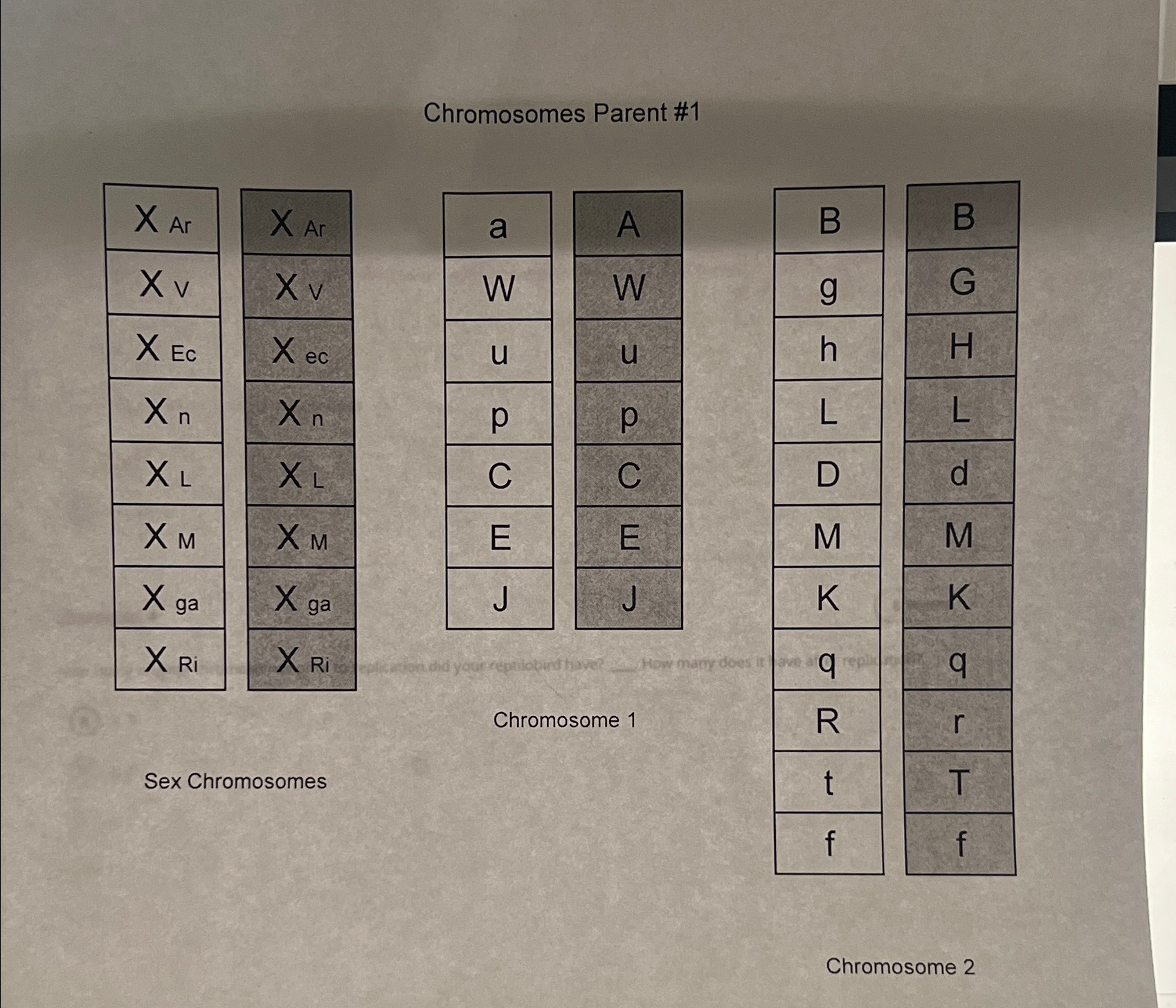 Chromosomes Parent #1\table[[xAr ,xAr | Chegg.com