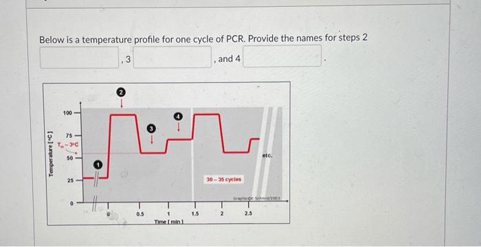 Solved Below is a temperature profile for one cycle of PCR. | Chegg.com