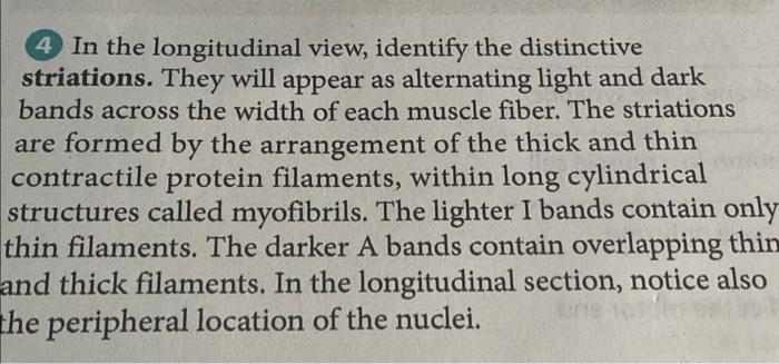 Solved 4 In the longitudinal view, identify the distinctive | Chegg.com