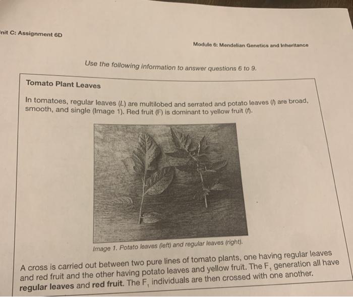 Solved Unit C: Assignments Module &: Mendelian Genetics and | Chegg.com