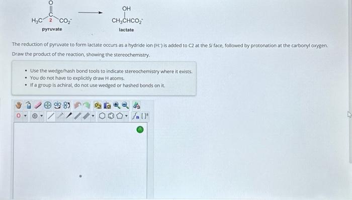 Solved The reduction of pyruvate to form lactate occurs as a | Chegg.com