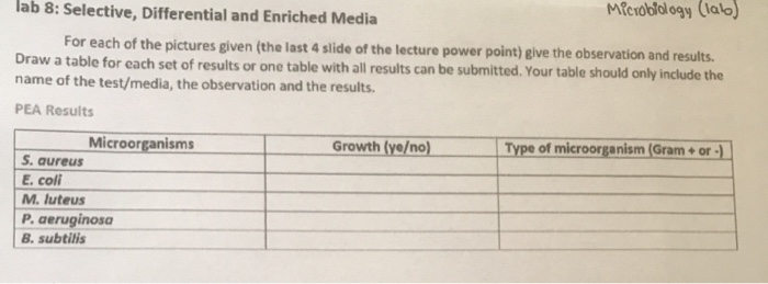 PEA lab 8: Selective, Differential and Enriched | Chegg.com