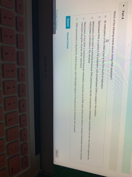 Solved AS Part A Which of the following events occurs during | Chegg.com