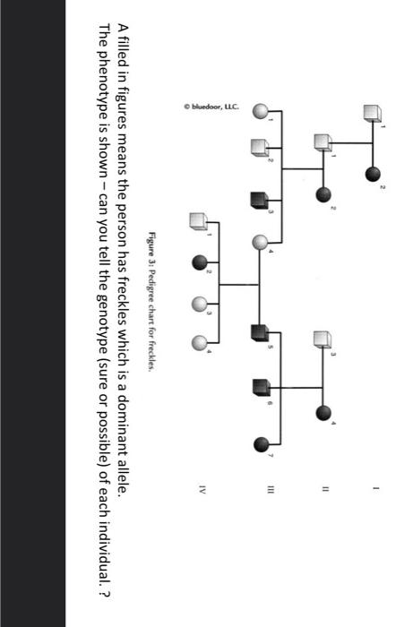 Solved Figure 3: Pedigree chart for freckles. A filled in | Chegg.com
