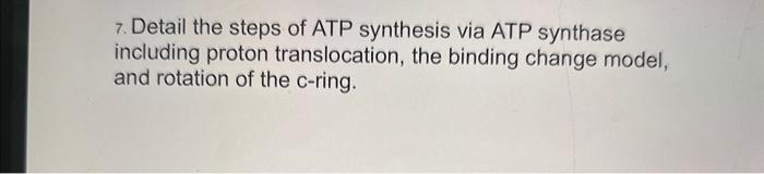 Solved 7. Detail the steps of ATP synthesis via ATP synthase | Chegg.com