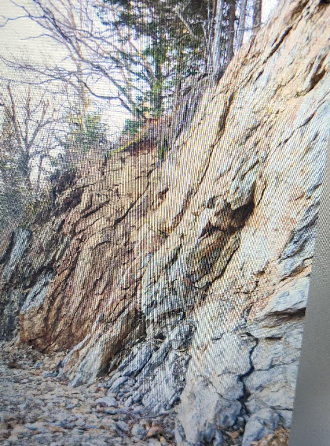 Solved Stop 4: Biotite Phyllite and structures | Chegg.com