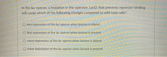 Solved In the lac operon, a mutation in the operator, Laco, | Chegg.com