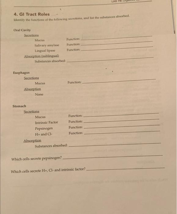 Solved 4. Gl Tract Roles Identify the functions of the | Chegg.com
