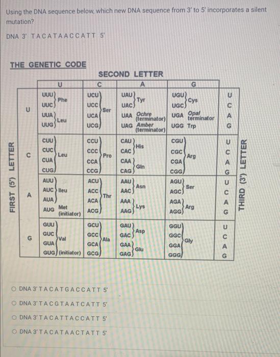 Solved Using the DNA sequence below, which new DNA sequence | Chegg.com