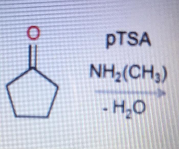 Solved PTSA NH2(CH3) - H20 | Chegg.com