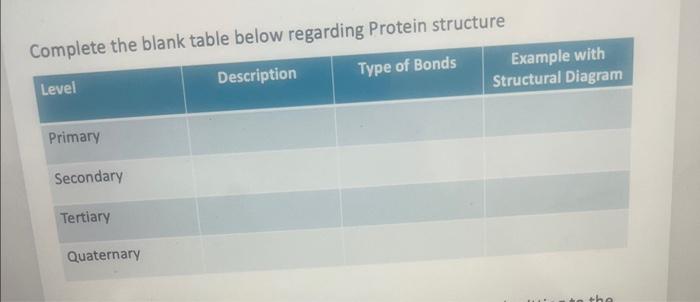 Solved t. sha hlank table below regarding Protein structure | Chegg.com