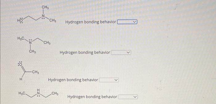 Solved Specify the hydrogen bonding behavior of the 4 | Chegg.com