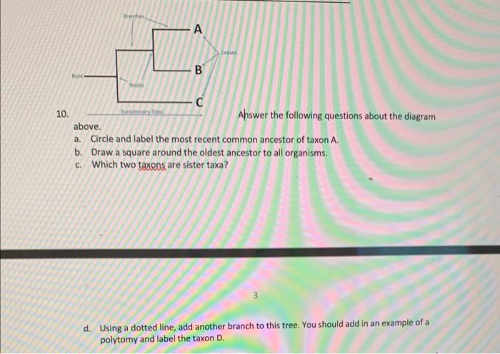 Solved 1 swer the following questions about the diagram | Chegg.com