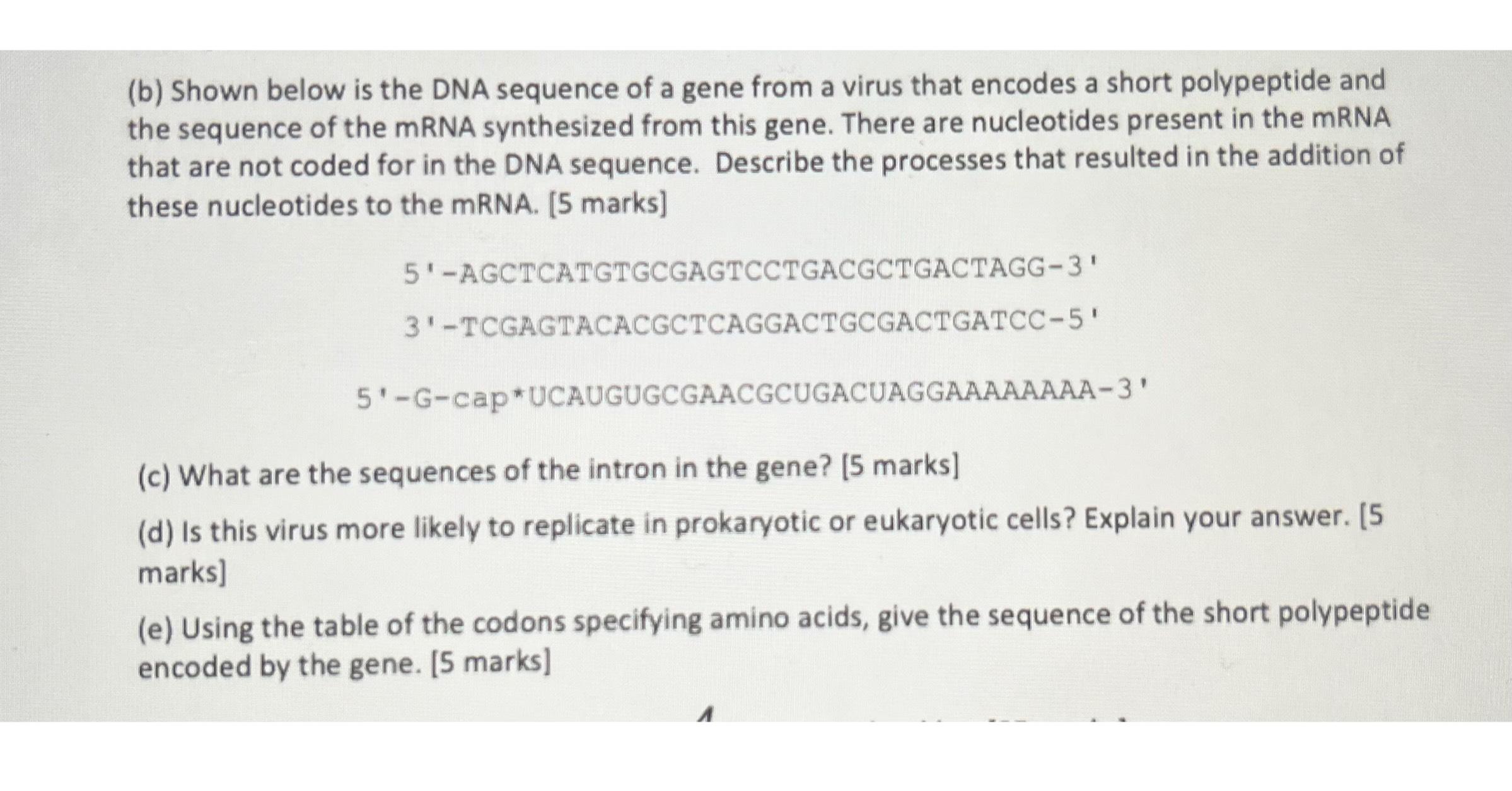 Solved (b) ﻿Shown below is the DNA sequence of a gene from a | Chegg.com