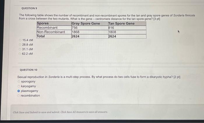 Tan-spore and black-spore Sordaria mate. The | Chegg.com