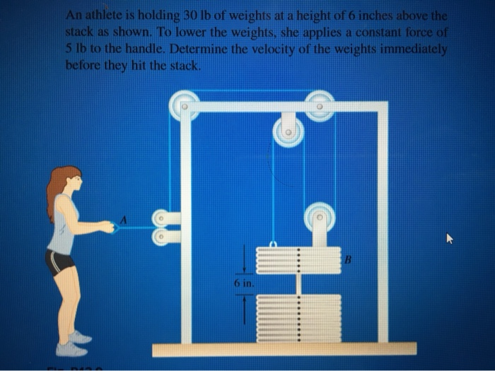 Solved An athlete is holding 30 Ib of weights at a height | Chegg.com