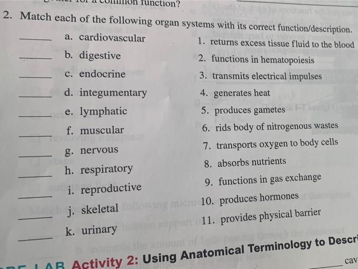 Solved tion? 2. Match each of the following organ systems | Chegg.com