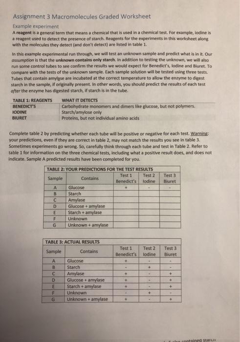 Solved Assignment 3 Macromolecules Graded Worksheet Example | Chegg.com