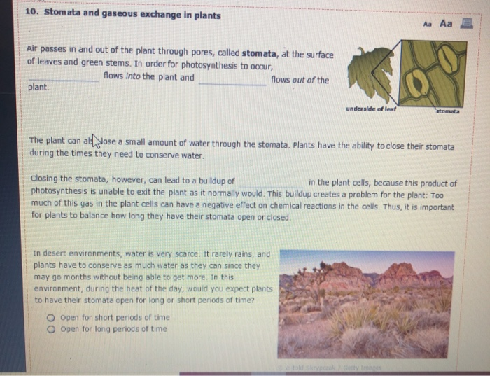 Solved 10. Stomata and gaseous exchange in plants Aa Aa Air | Chegg.com
