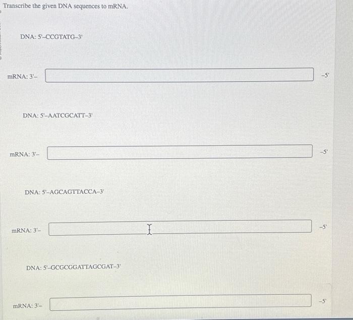 Solved Transcribe the given DNA sequences to mRNA. DNA: | Chegg.com