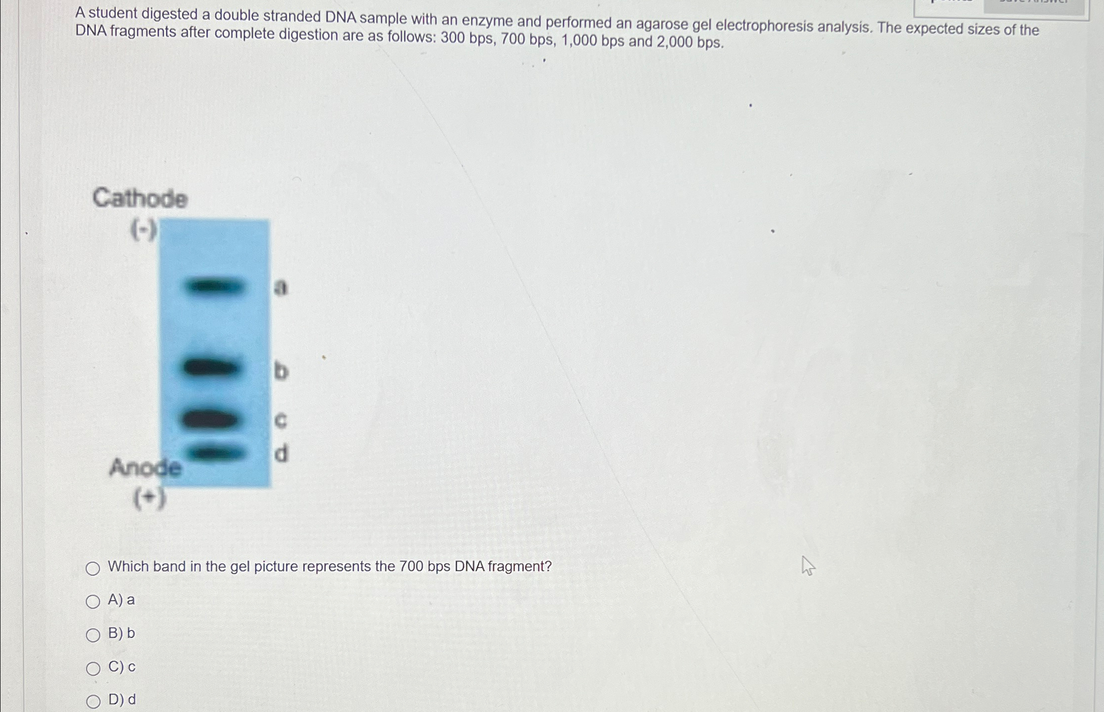 Solved A student digested a double stranded DNA sample with | Chegg.com