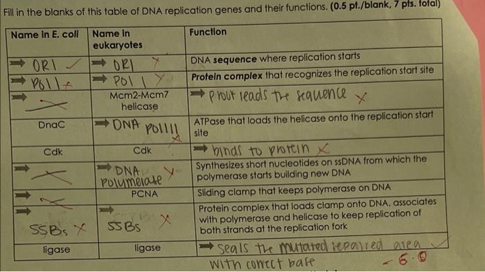 Solved Fill in the blanks of this table of DNA replication | Chegg.com