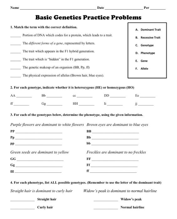 Solved 5. Set up the punnett square for each of the crosses | Chegg.com
